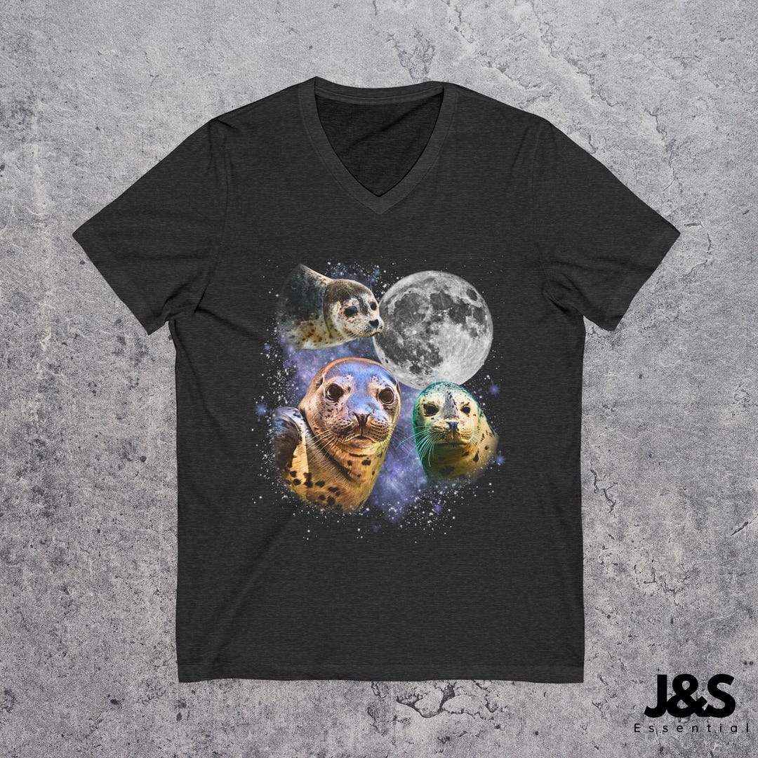 Three Harbor Seal Moon V-neck Shirt, Marine Animal Lover Top, Ocean ...