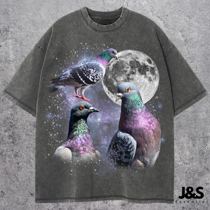 Pigeon & Moon T Shirt - Etsy