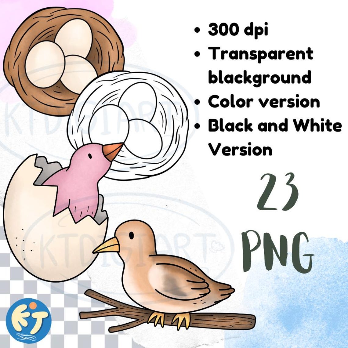 Bird Life Cycle Clipart | Nature and Animal | Classroom Science - Etsy