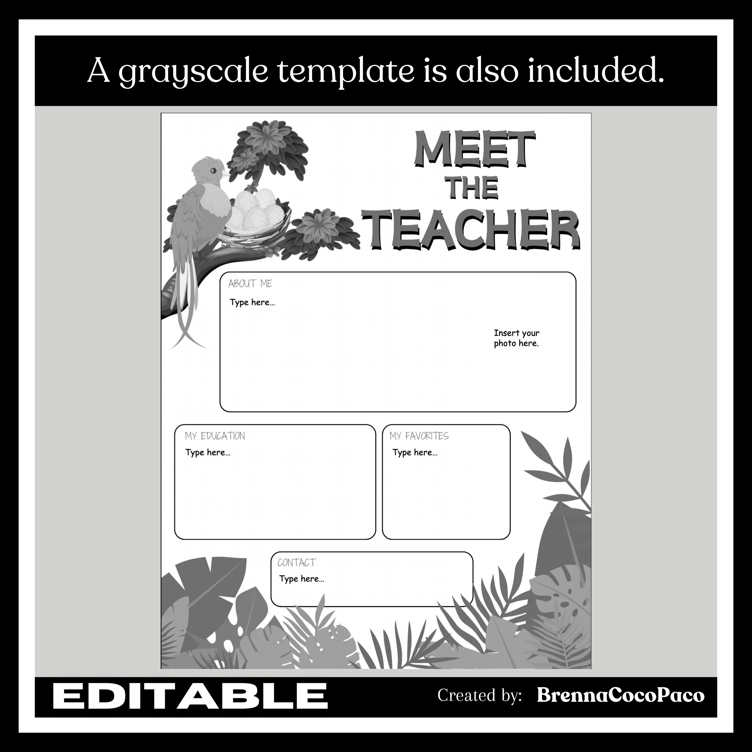 New Forest Theme Meet the Teacher Template | Jungle Theme Meet the ...