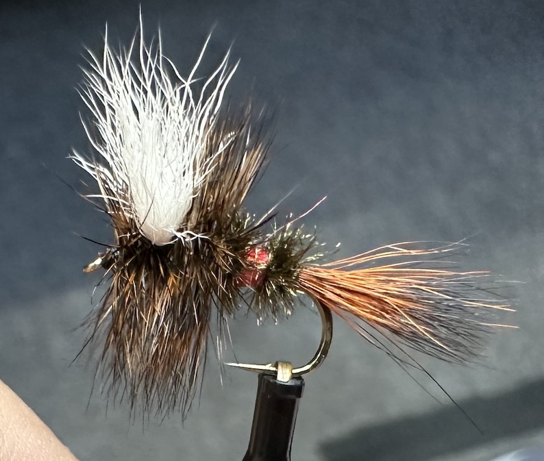 20 Framed & Mounted, Precision-tied, Hairwing Dry Flies - in 14"x12 ...