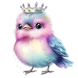 10 Bird Clipart, Cute Bird, High Quality Jpgs, Digital Download ...