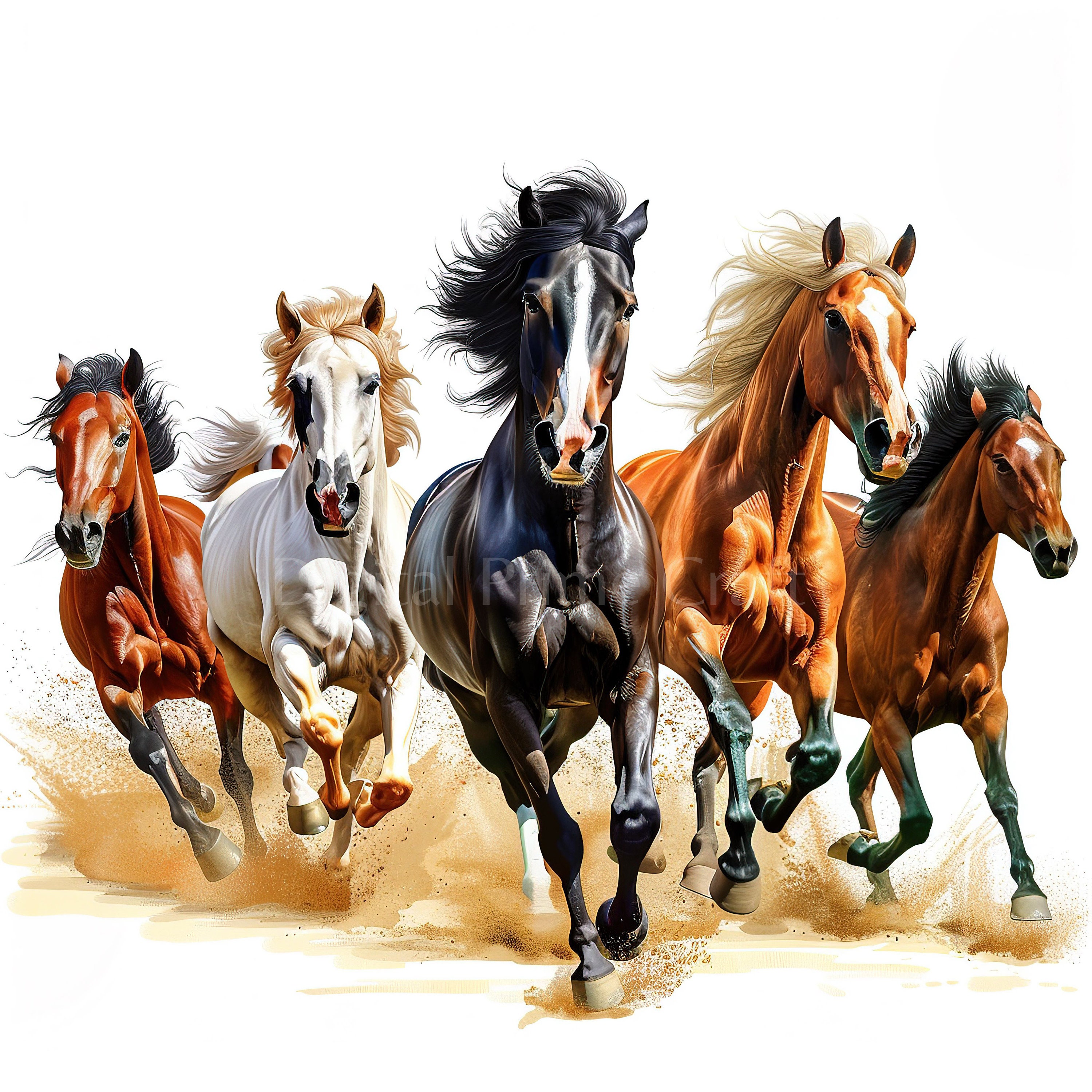 10 Horse Clipart, Running Horse, High Quality Jpgs, Digital Download ...