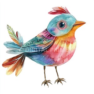12 Abstract Bird Clipart, Watercolor Bird Clipart, High Quality Jpgs ...