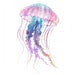 14 Jelly Fish Clipart, Watercolor Jelly Fish, High Quality Jpg Files ...