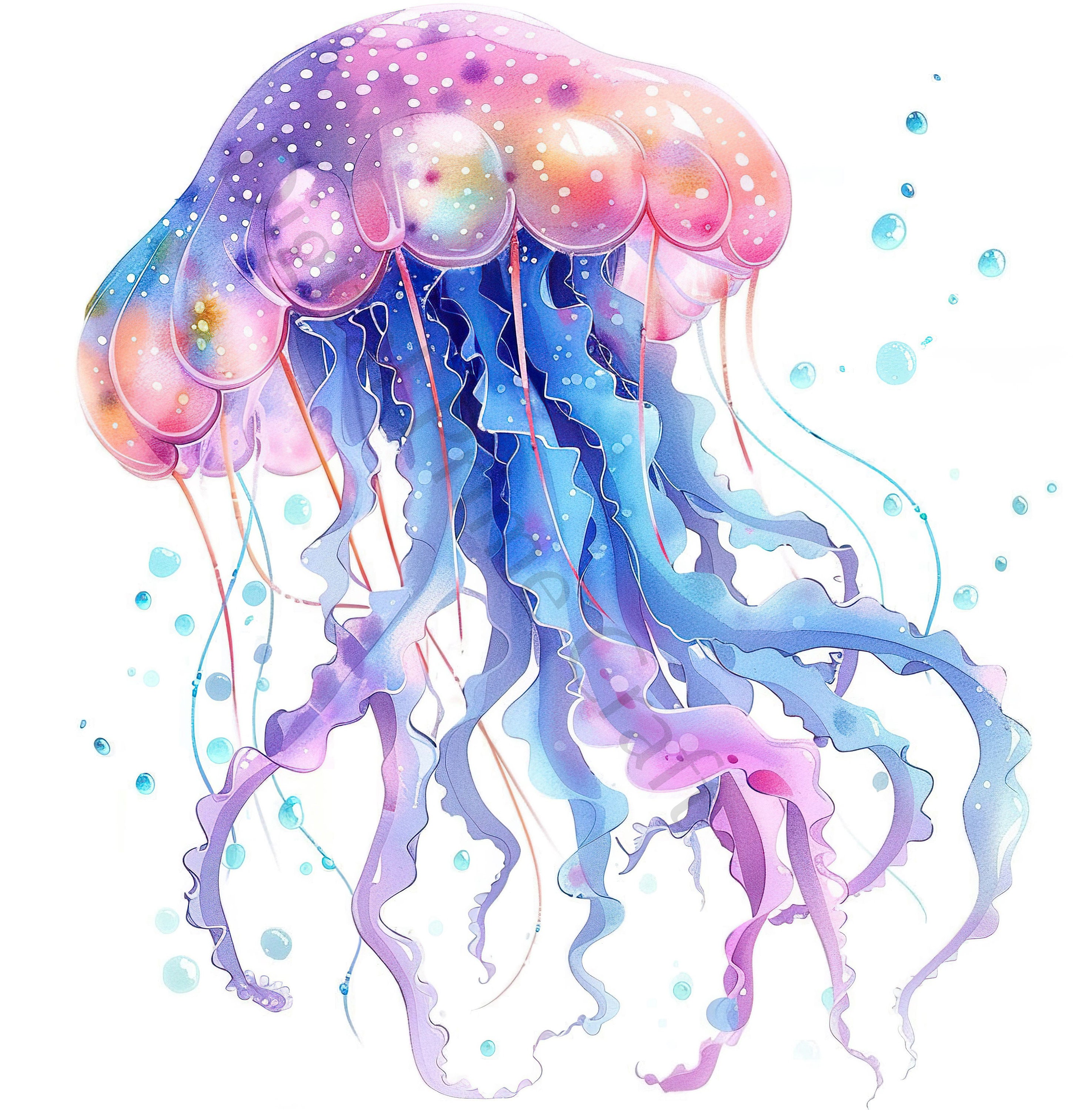 14 Jelly Fish Clipart, Watercolor Jelly Fish, High Quality Jpg Files ...