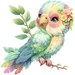 12 Bird Clipart, Cute Bird Clipart, High Quality Jpgs, Digital Download ...