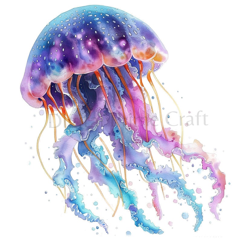 14 Jelly Fish Clipart, Watercolor Jelly Fish, High Quality Jpg Files ...