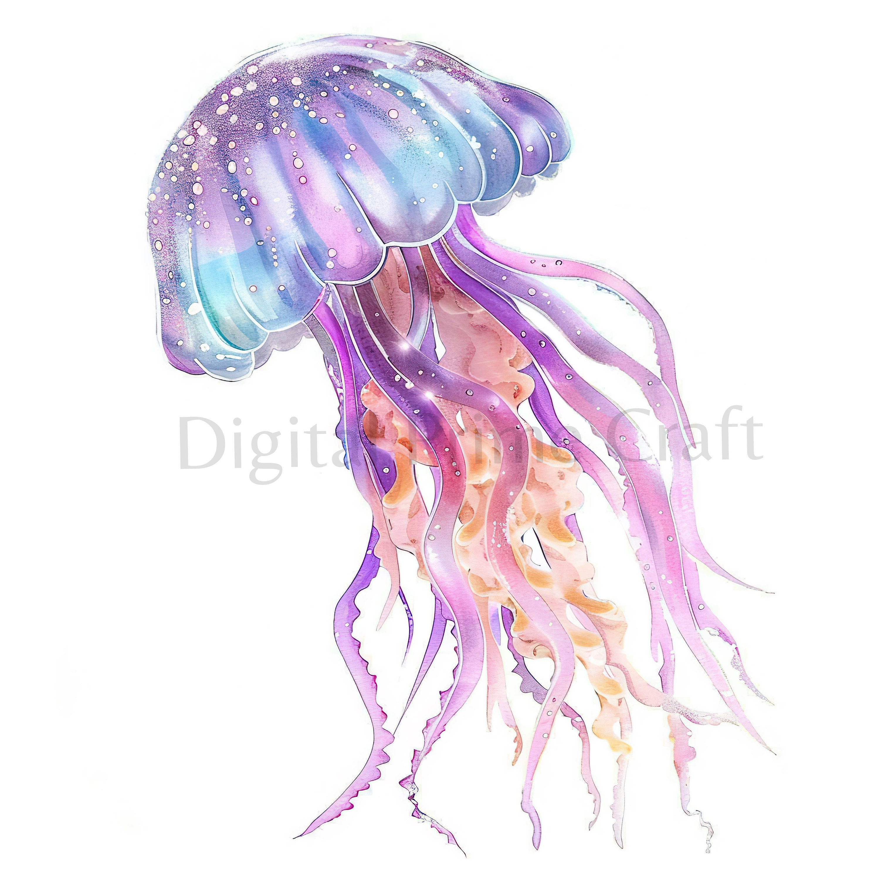 14 Jelly Fish Clipart, Watercolor Jelly Fish, High Quality Jpg Files ...