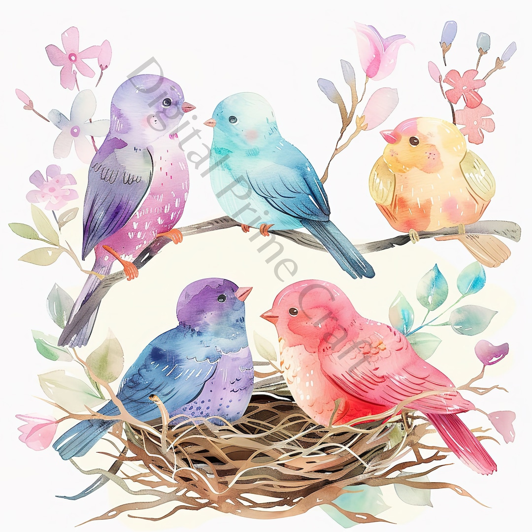 10 Bird Clipart, Colorful Birds Clipart, High Quality Jpgs, Digital ...