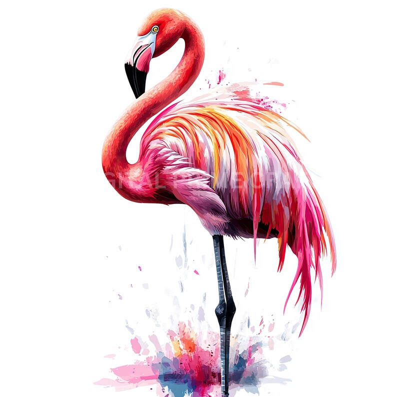 10 Flamingo Clipart, Bird Clipart, High Quality Jpgs, Digital Download ...