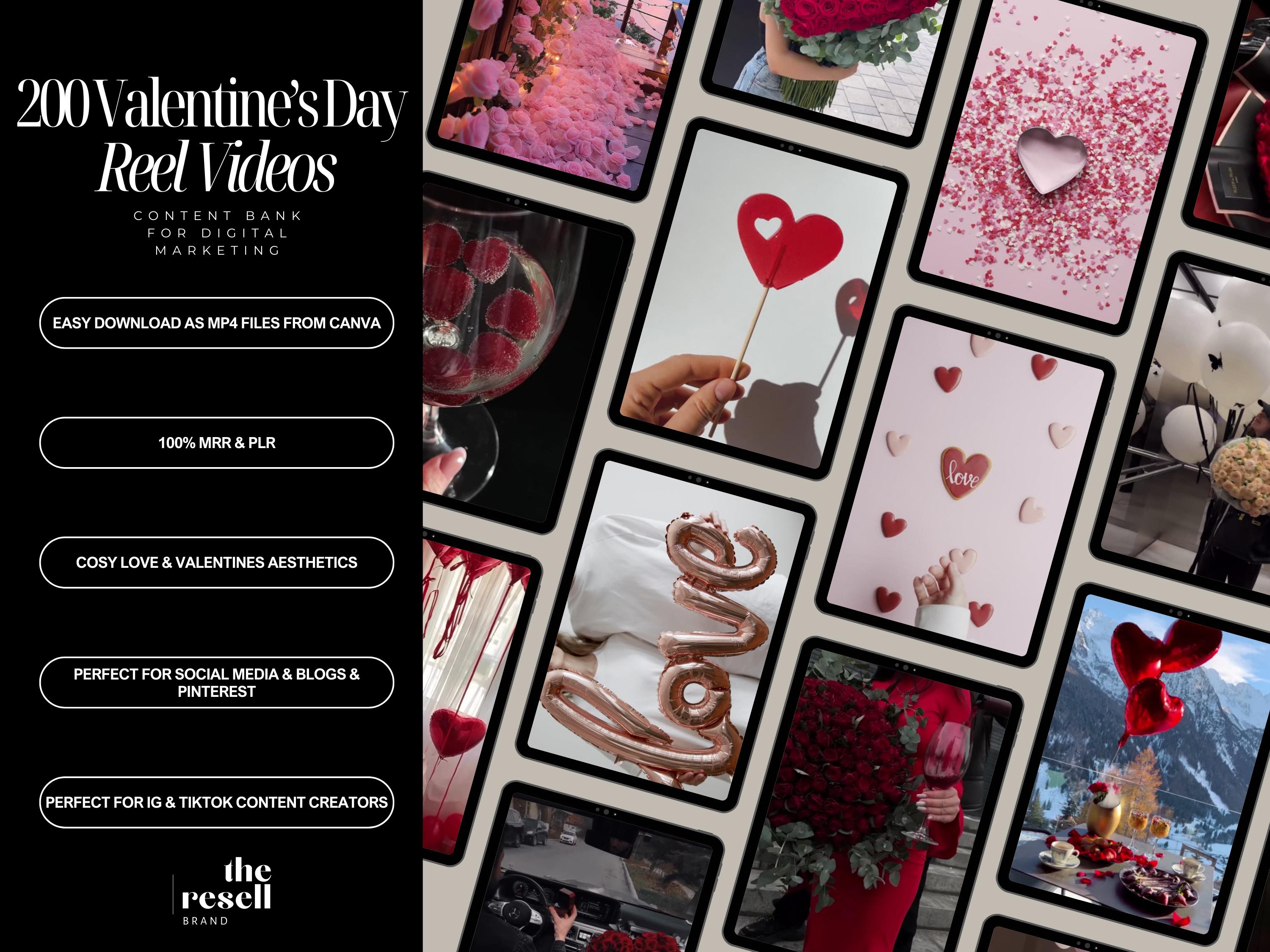 200 Valentine’s Day Reel Videos Bundle | Canva Editable MP4 | Romantic ...