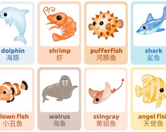 Space and Planets Flash Card in English and Chinese / Mandarin - Etsy