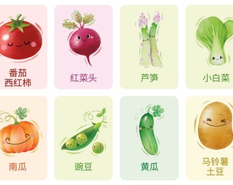 Space and Planets Flash Card in English and Chinese / Mandarin - Etsy