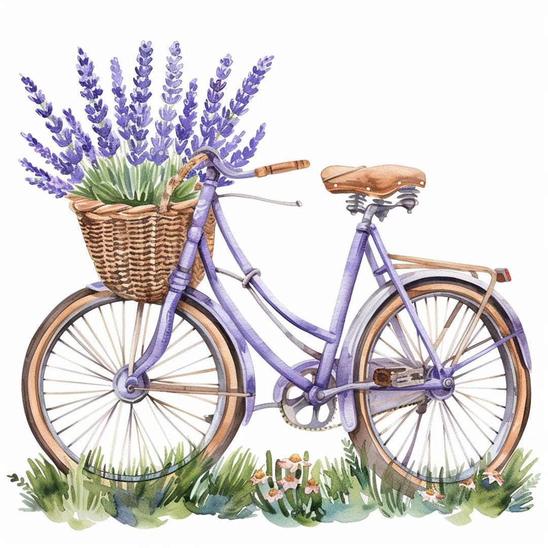 12 Bike With Flowers Clipart,watercolor Floral Bicycle Clipart Bundle ...