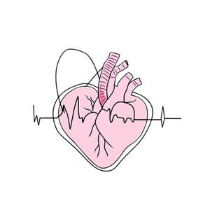 Heart Clipart Set: Hand-drawn Valentine & Doctor Designs (PNG, JPG) - Etsy