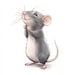8 Cute Mouse Clipart Mice PNG,JPJ, Whimsical Mouse Sublimation Funny ...