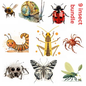 Bugs Watercolor Clipart Bundle File PNG,JPJ Using This T Shirt,walart ...