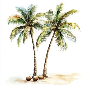 8 Watercolor Coconut Trees Clipart, PNG,JPJ Digital Files on ...