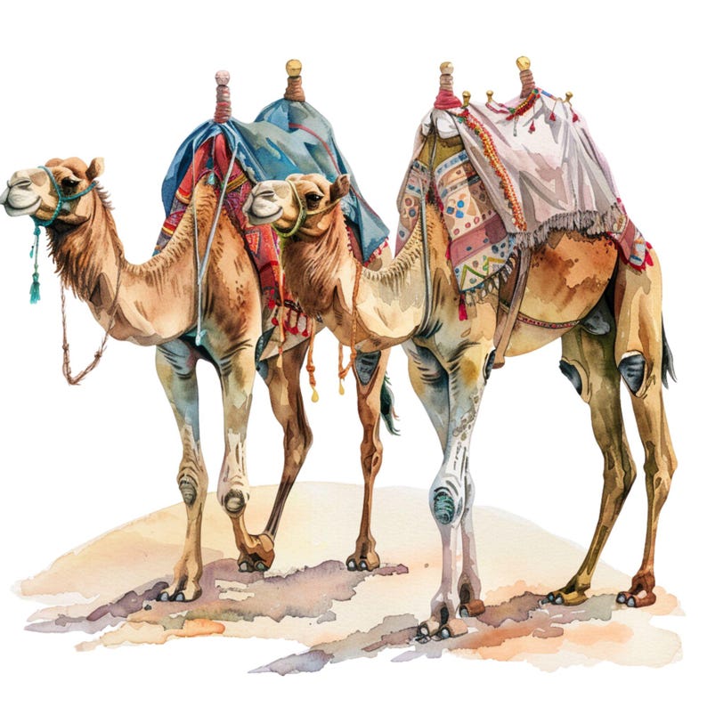 Watercolor Camel Clipart: Summer Animal Art (digital Download) - Etsy