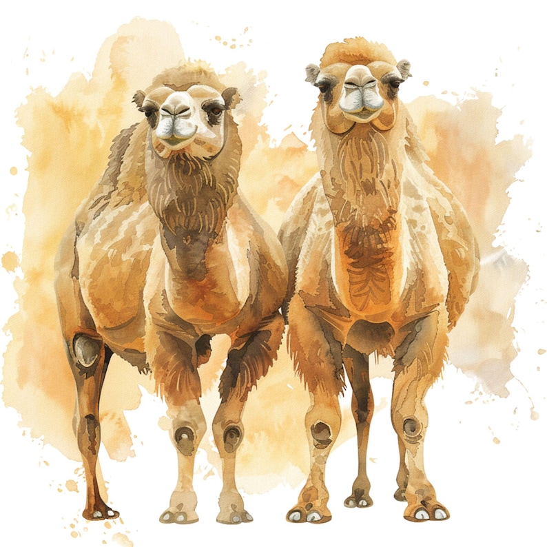 Watercolor Camel Clipart: Summer Animal Art (digital Download) - Etsy