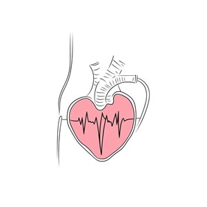 Heart Clipart Set: Hand-drawn Valentine & Doctor Designs (PNG, JPG) - Etsy