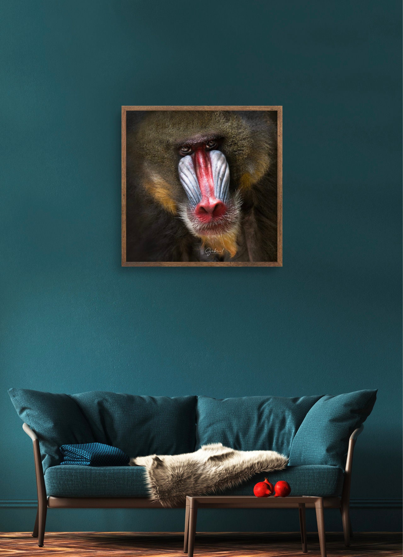 Mandrill Portrait Wildlife Photography, Fine Art Nature Photography ...