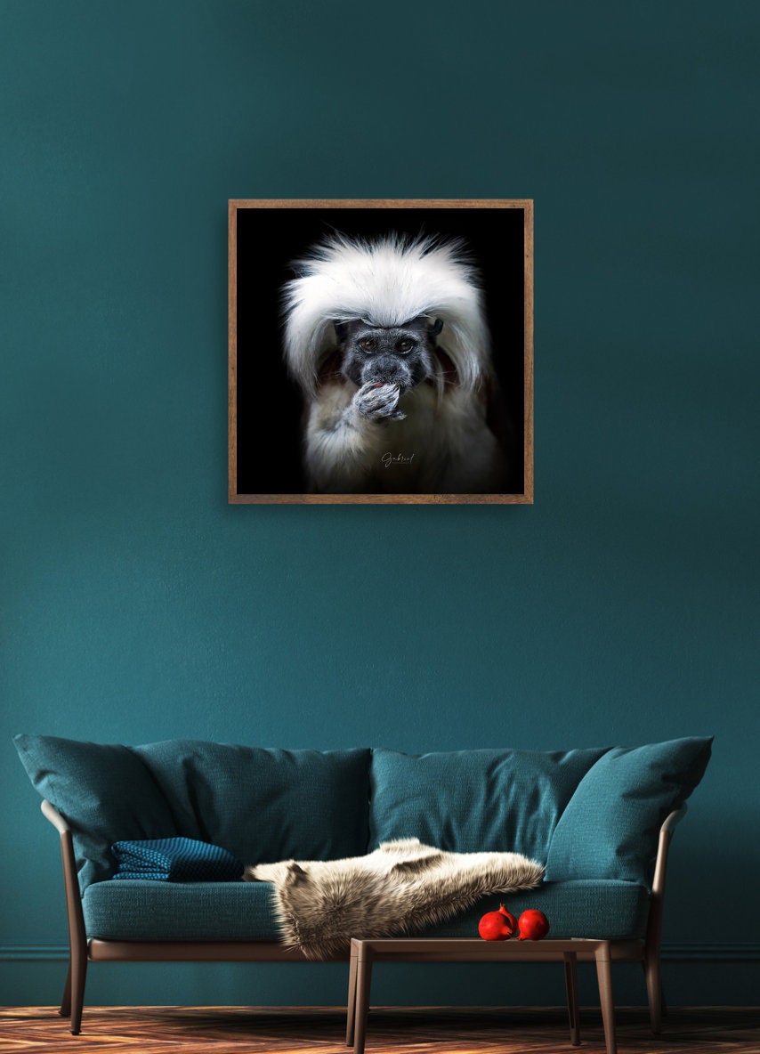 Monkey Art Print, Monkey Wall Art, Wildlife Photography, Jungle Animal ...