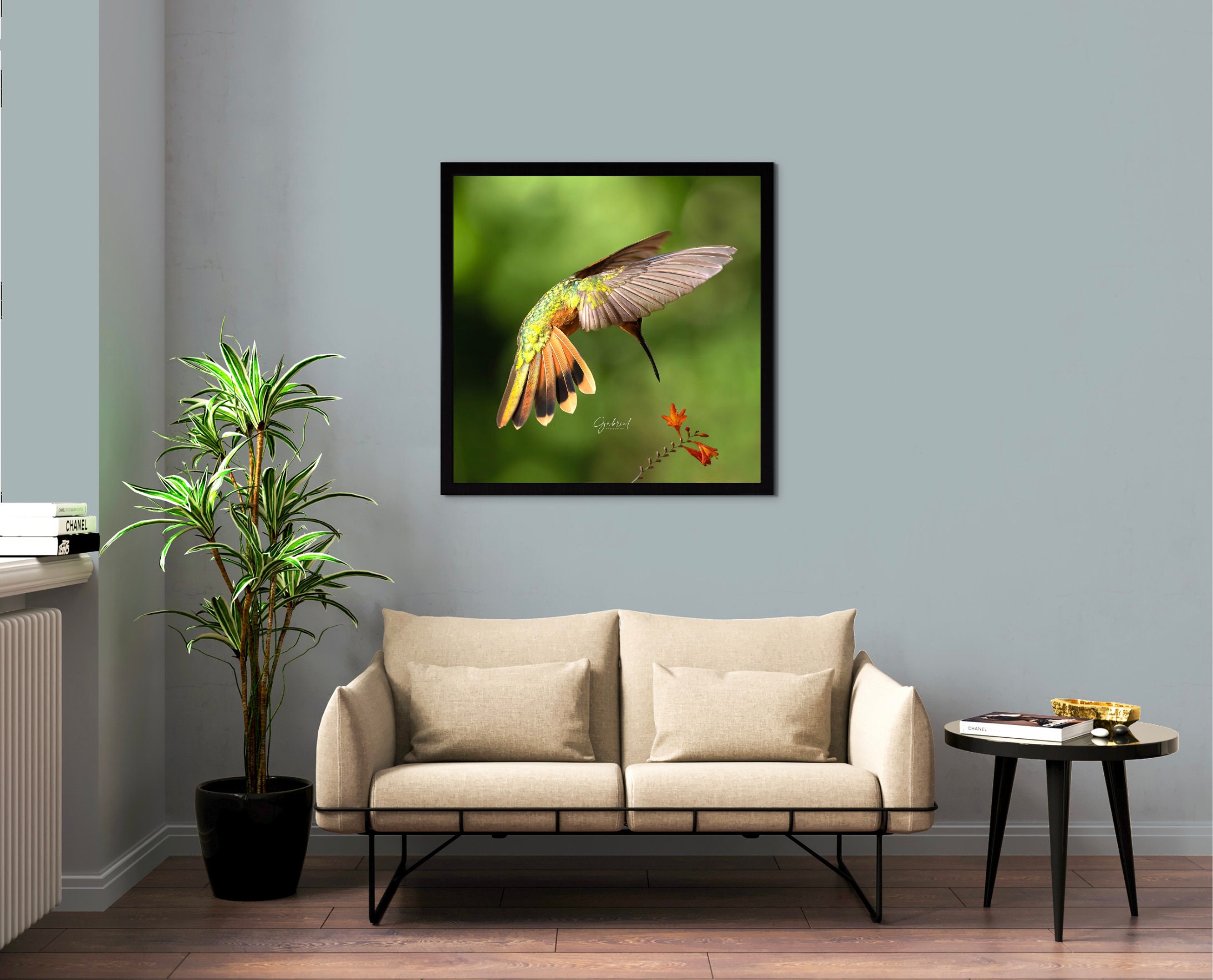 Hummingbird Art Print, Wildlife Photography, Fine Art Print, Nature ...