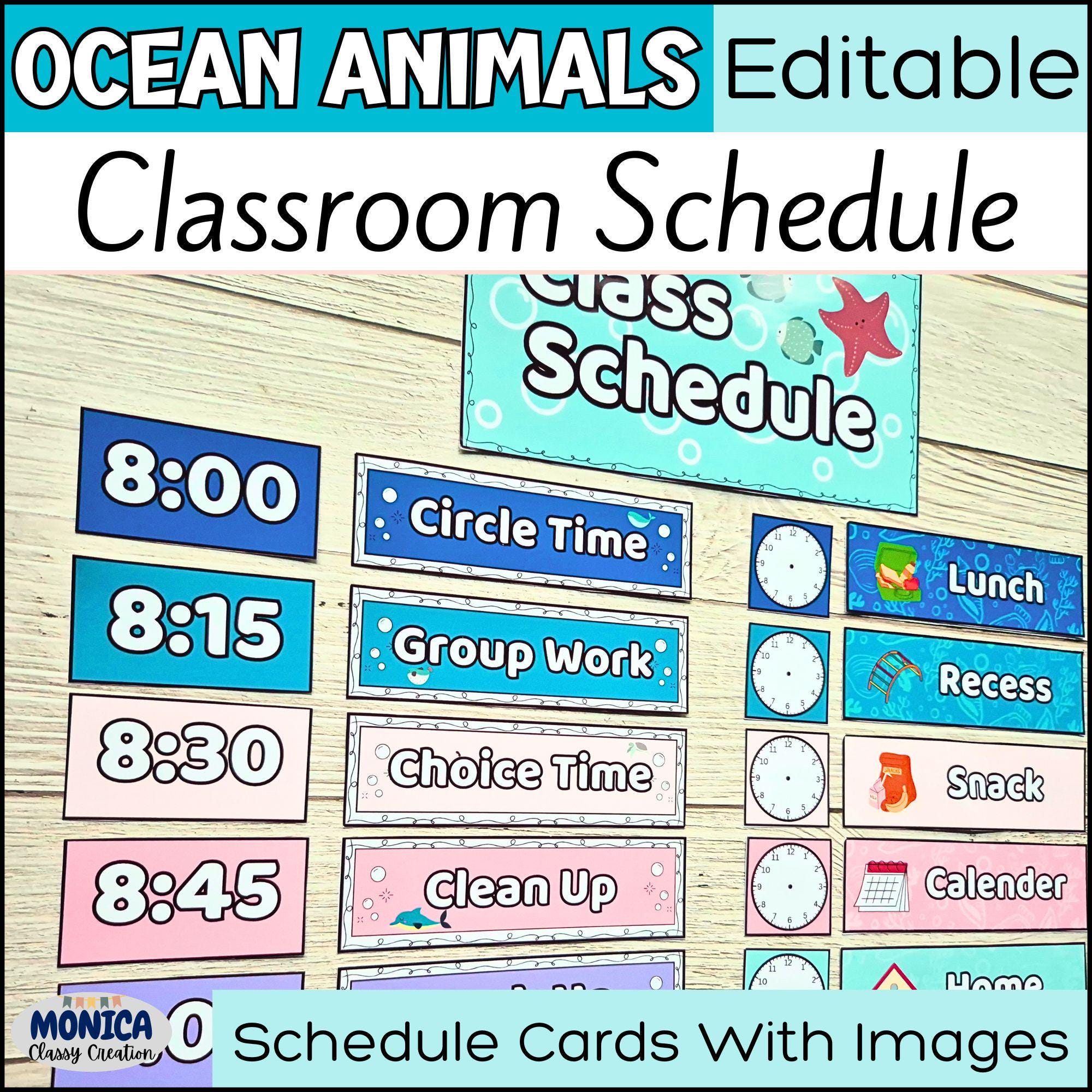 Pastel Classroom Schedule Cards With Pictures Canva Daily Visual ...