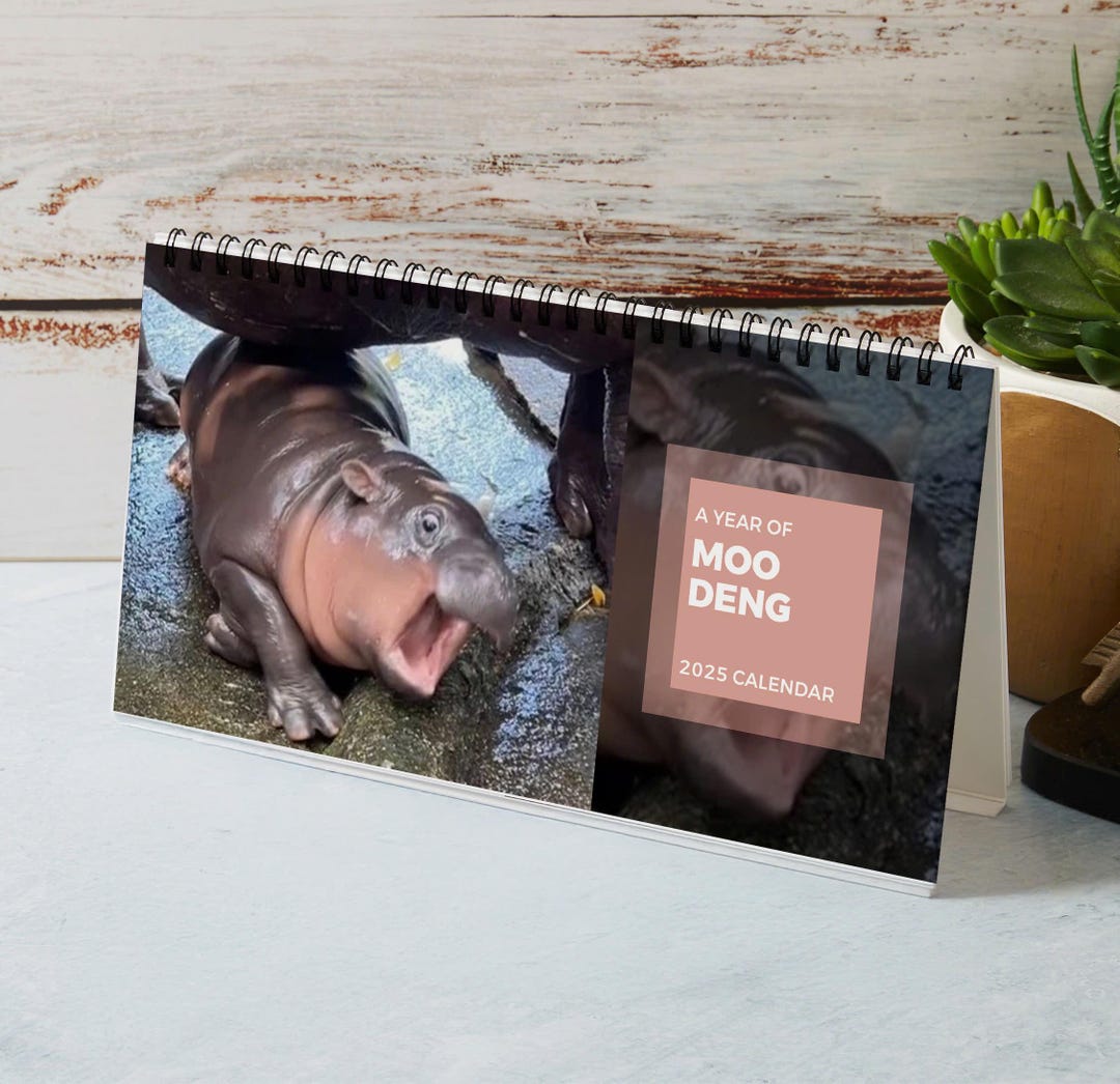 Moodeng Calendar 2025 Animal 2025 Calendar Cute Moodeng Desk Caendar ...