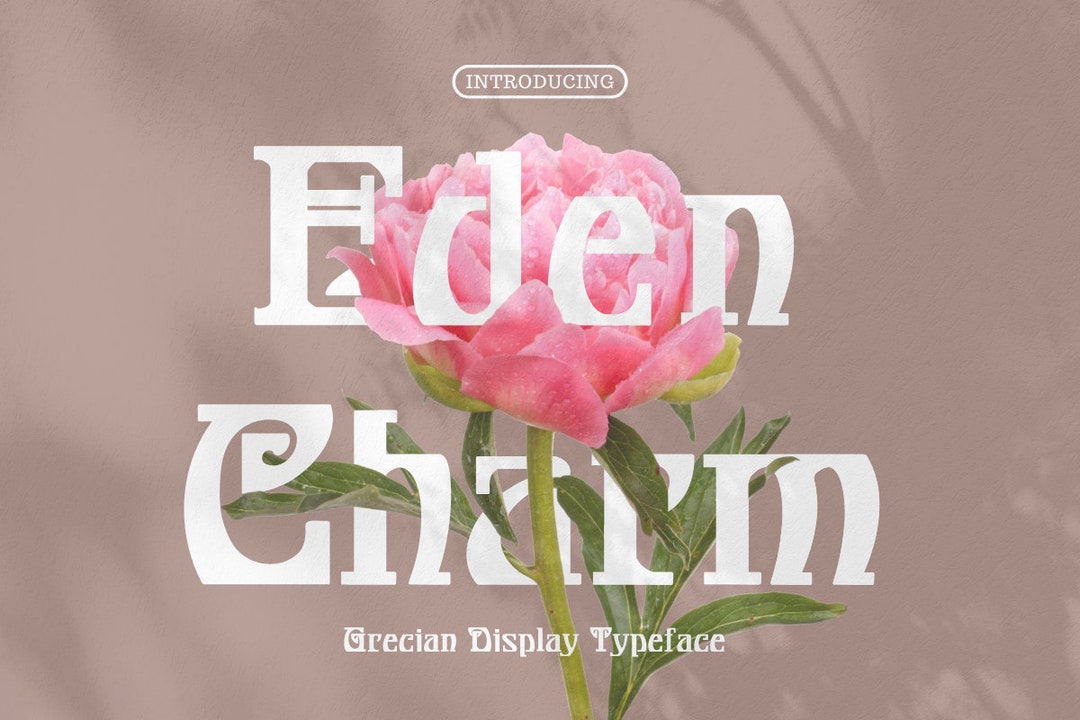 Eden Charm Font Classy Modern Font Elegant Font Luxury - Etsy