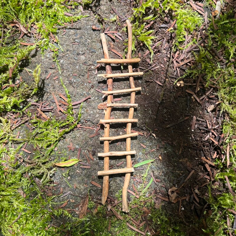 Fairy Garden Ideas - Etsy