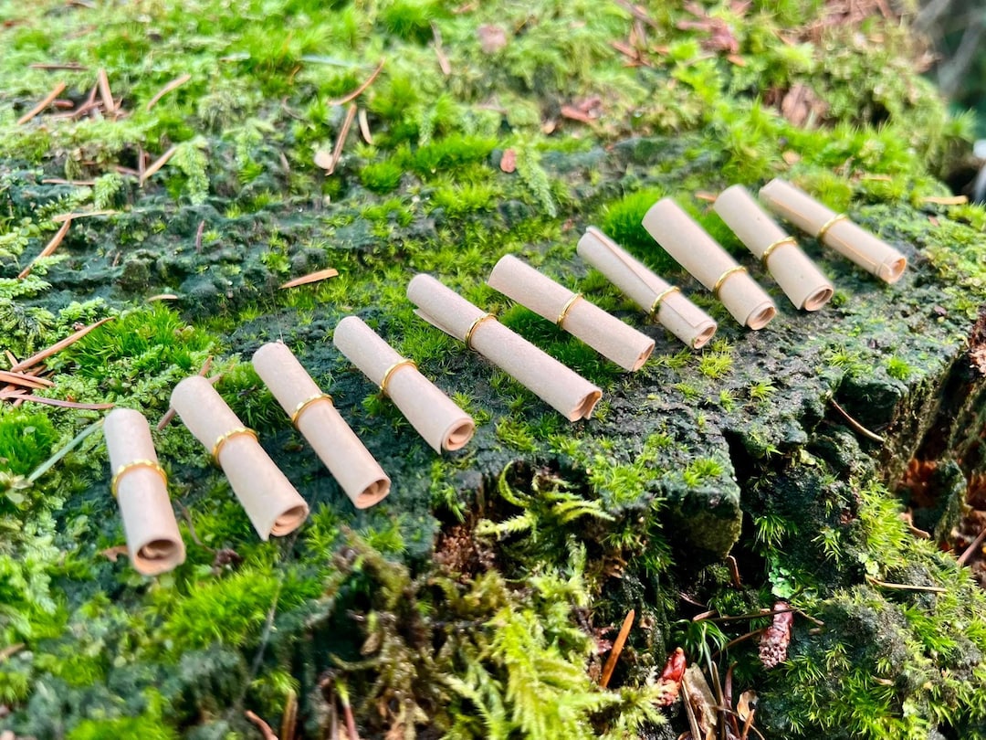 Mini Scrolls Paper - Fairy Scroll Letters With Mini Gold Ring - Etsy