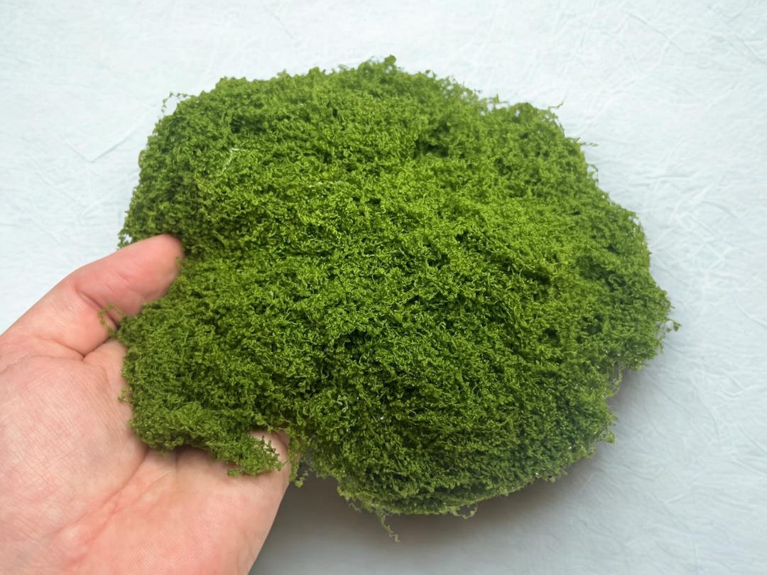 Green String Moss for Fairy Houses & Fairy Gardens (50g / 100g) - Etsy