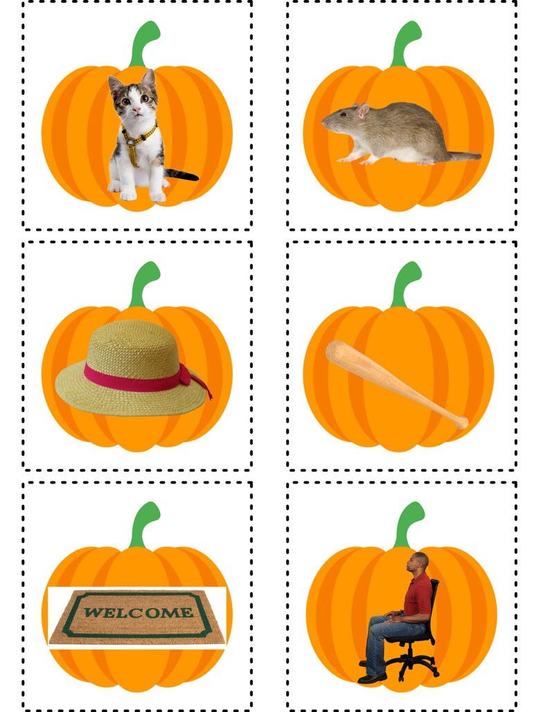 Fall Short a Words CVC Sensory Bin Cards - Etsy