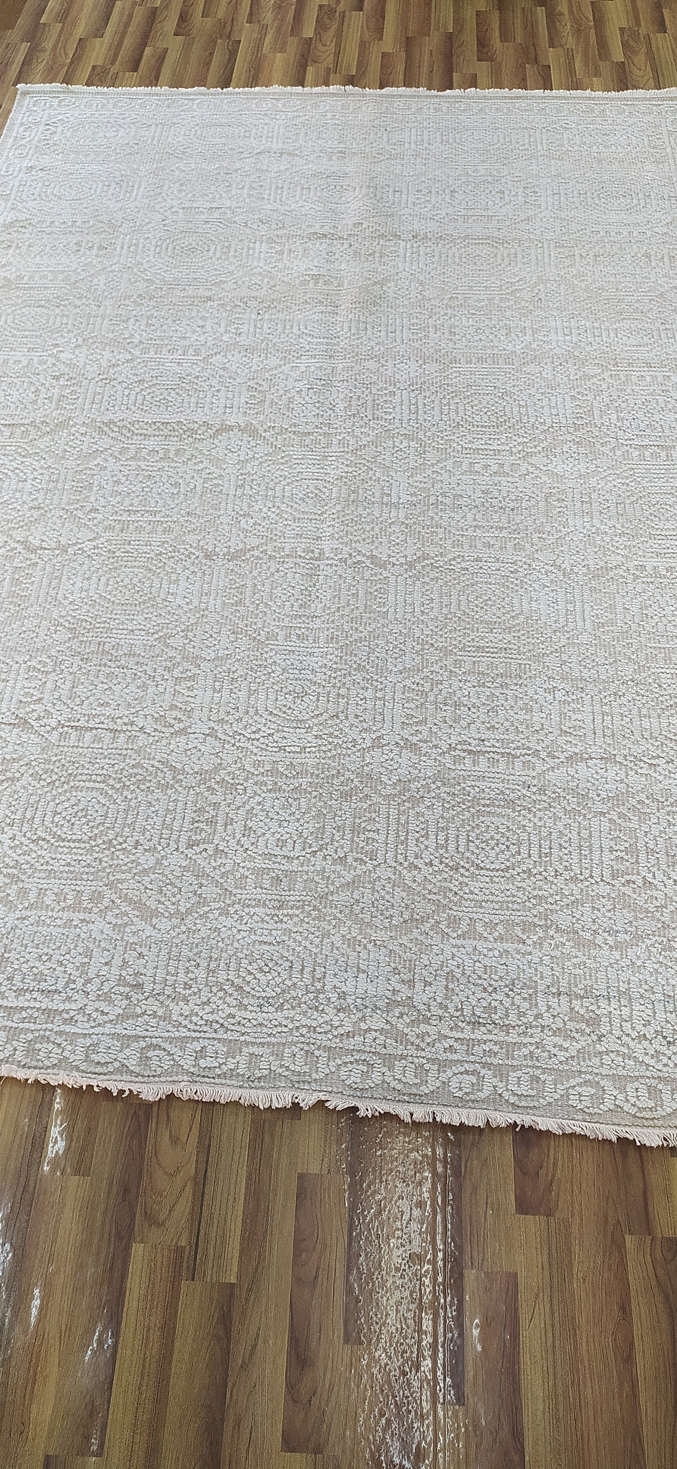 6x8'10 Modern Ivory Rug for Living Room Carpet for Home Wool Area Rug ...