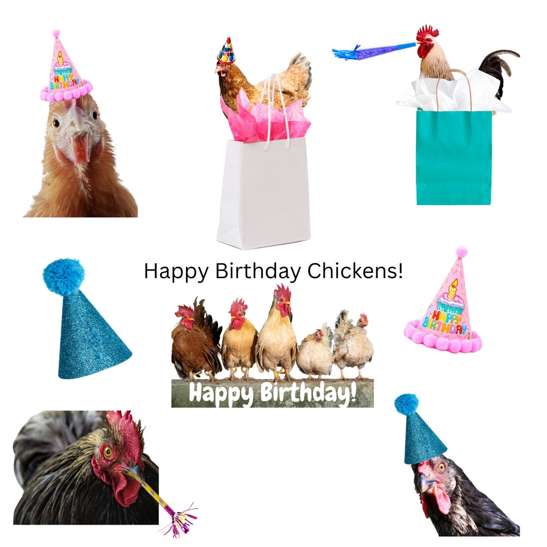 Happy Birthday Chickens Digital Stickers - Etsy