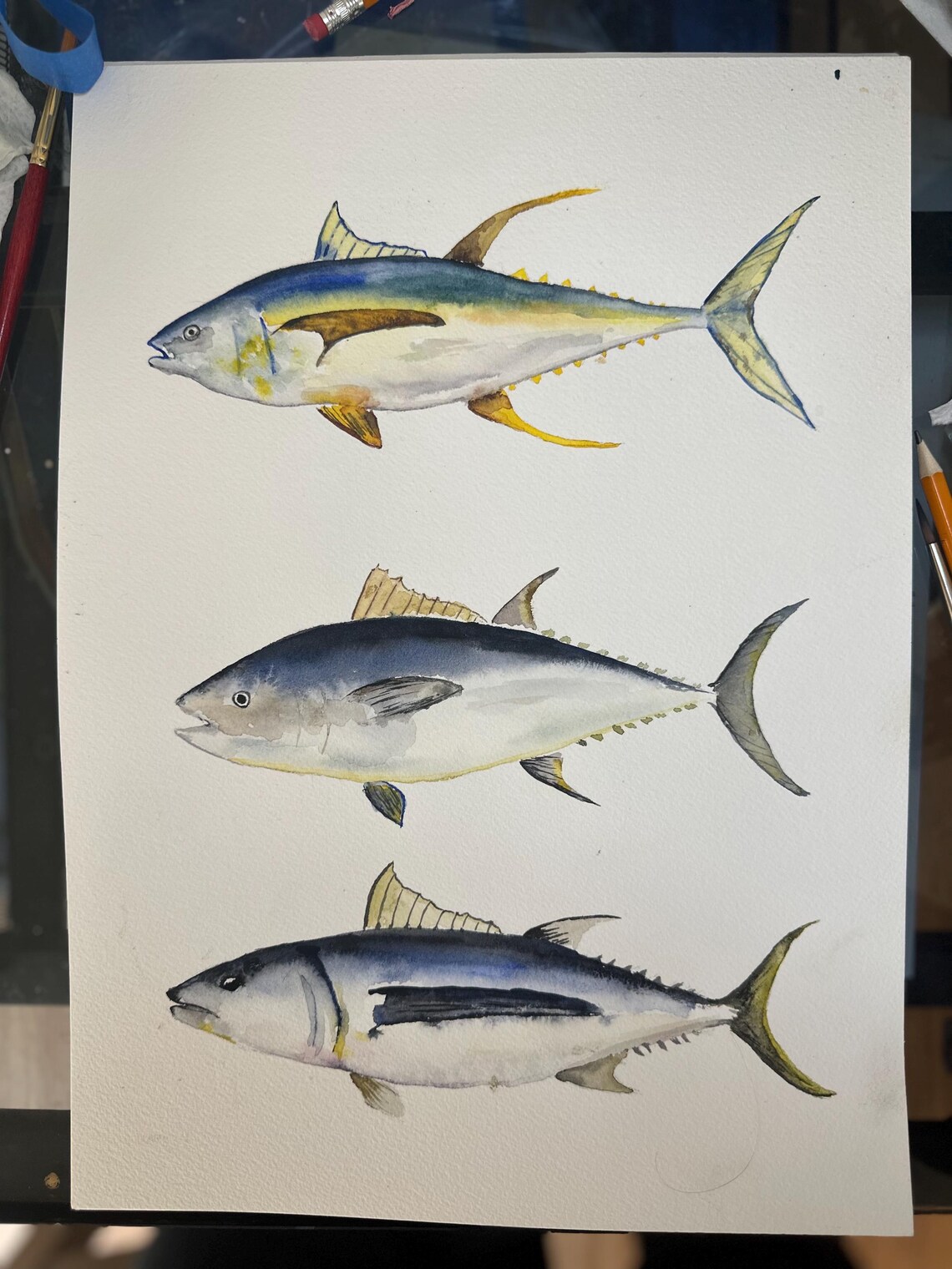 Tuna Fish Trio Original Watercolor Painting 10x14in Yellowtail Bluefin ...