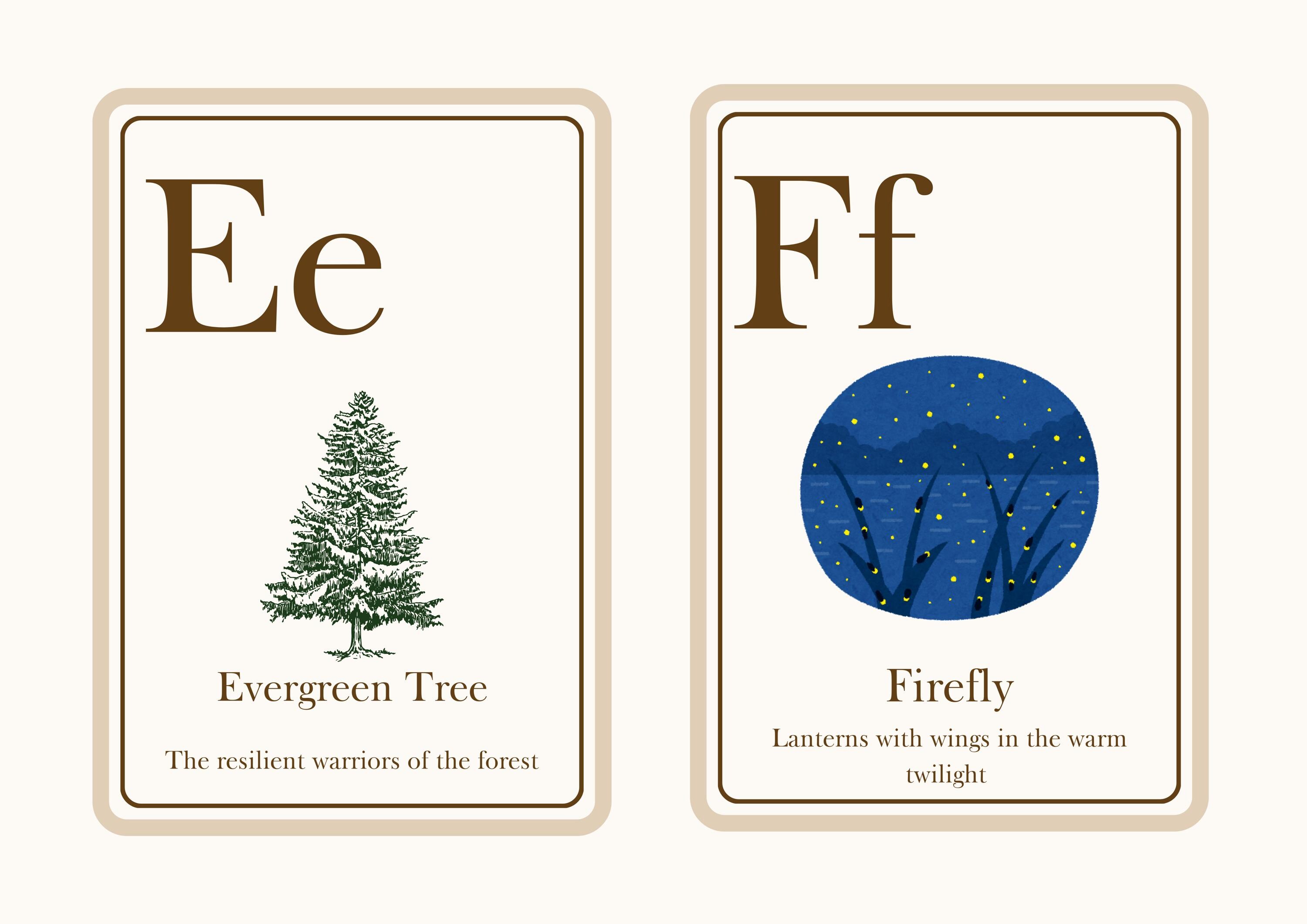 Nature ABC Flashcards: Storybook Learning for Kids (digital Download - Etsy