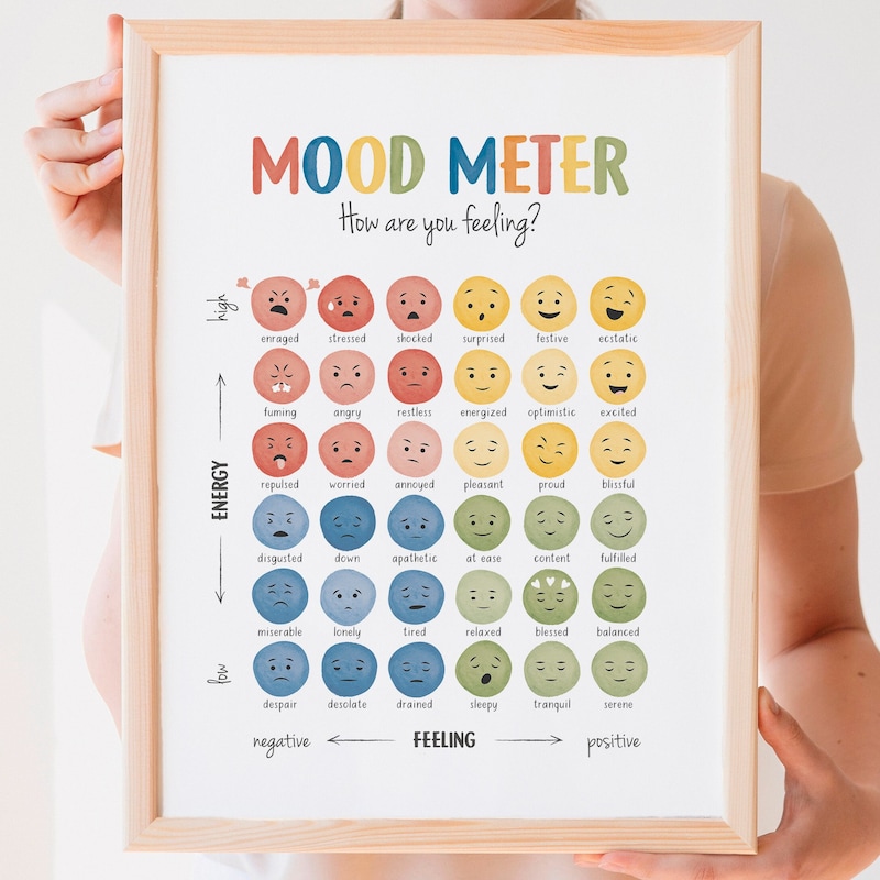 Zones of Regulation Emoji - Etsy