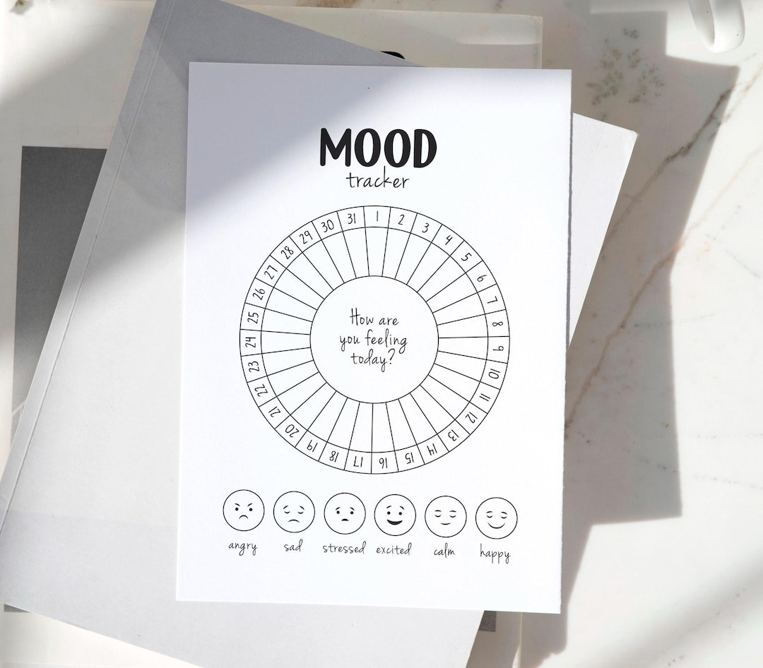 Daily Mood Journal – Bullet Journal Mood Tracker – FZPY