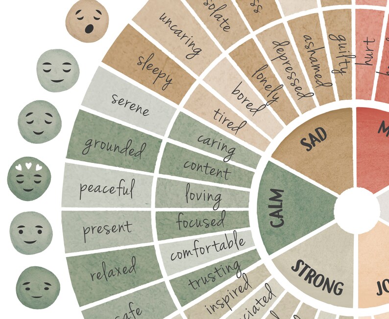 Zones of Regulation Feelings Wheel Emotions Poster Mental - Etsy UK