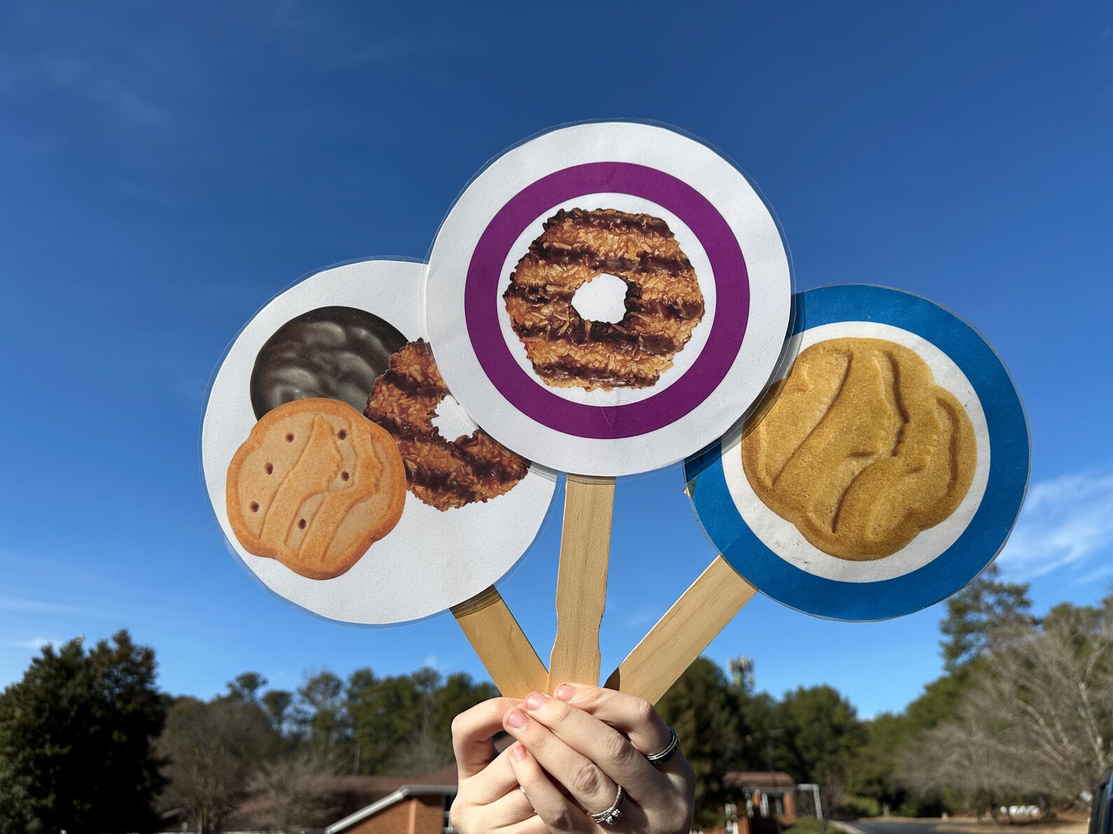 ABC Bakers DIY Girl Scout Cookie Signs. Download and Print! Includes ...