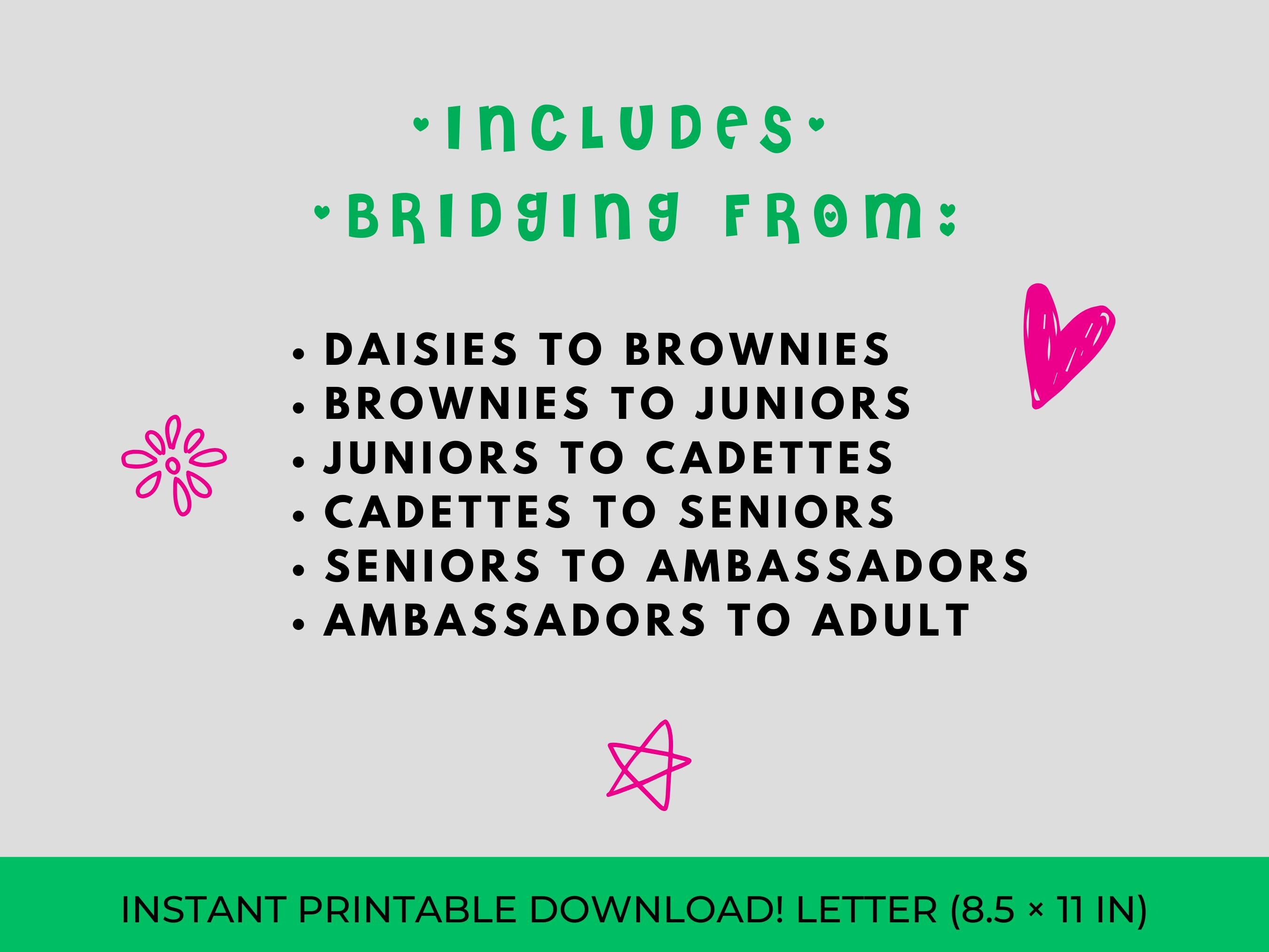 Girl Scout Bridging Certificates for SIX Levels! Instant PDF Digital ...