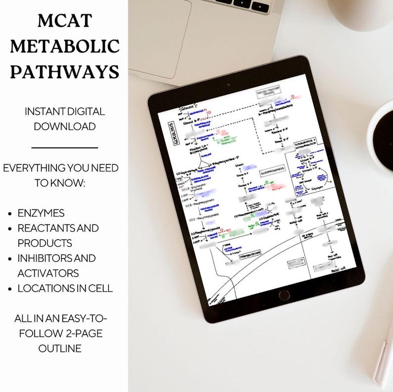 MCAT Metabolic Pathways Biochemistry Study Guide, High-yield, DAT, GRE ...