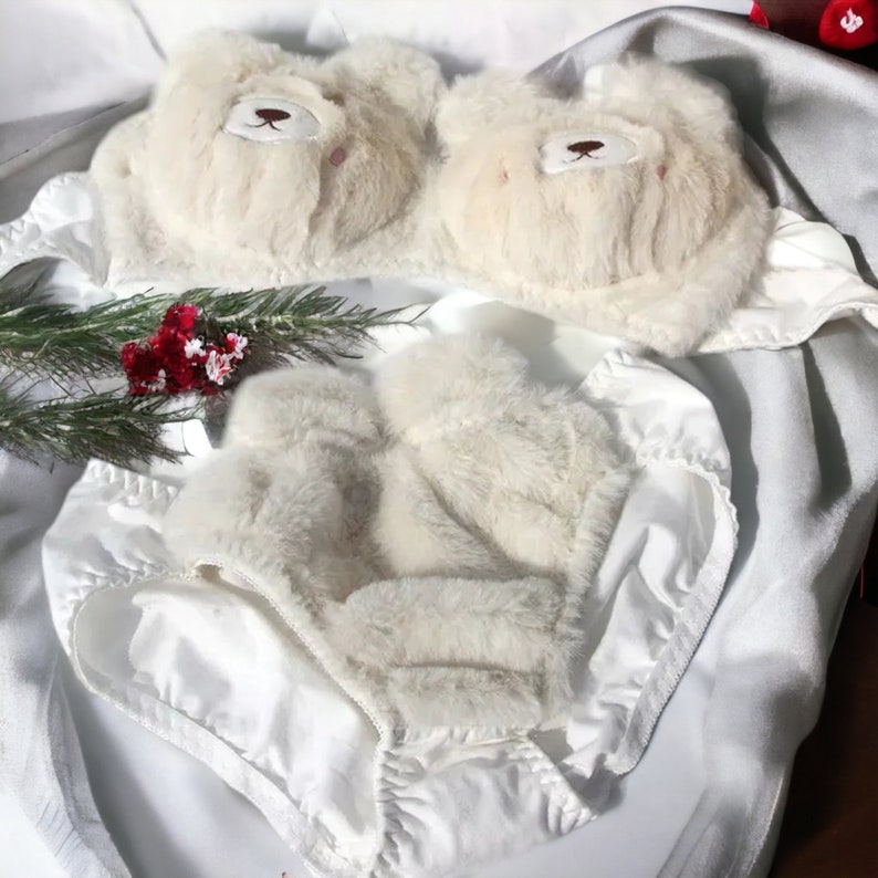 Winter Bra Panty Lingerie Set, Perfect Gift, Cute Teddy Embroidery ...
