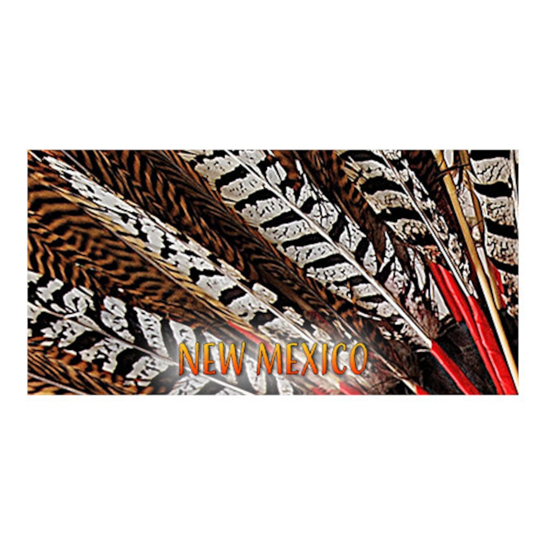 Ceremonial Feathers Table Display Souvenir - Etsy