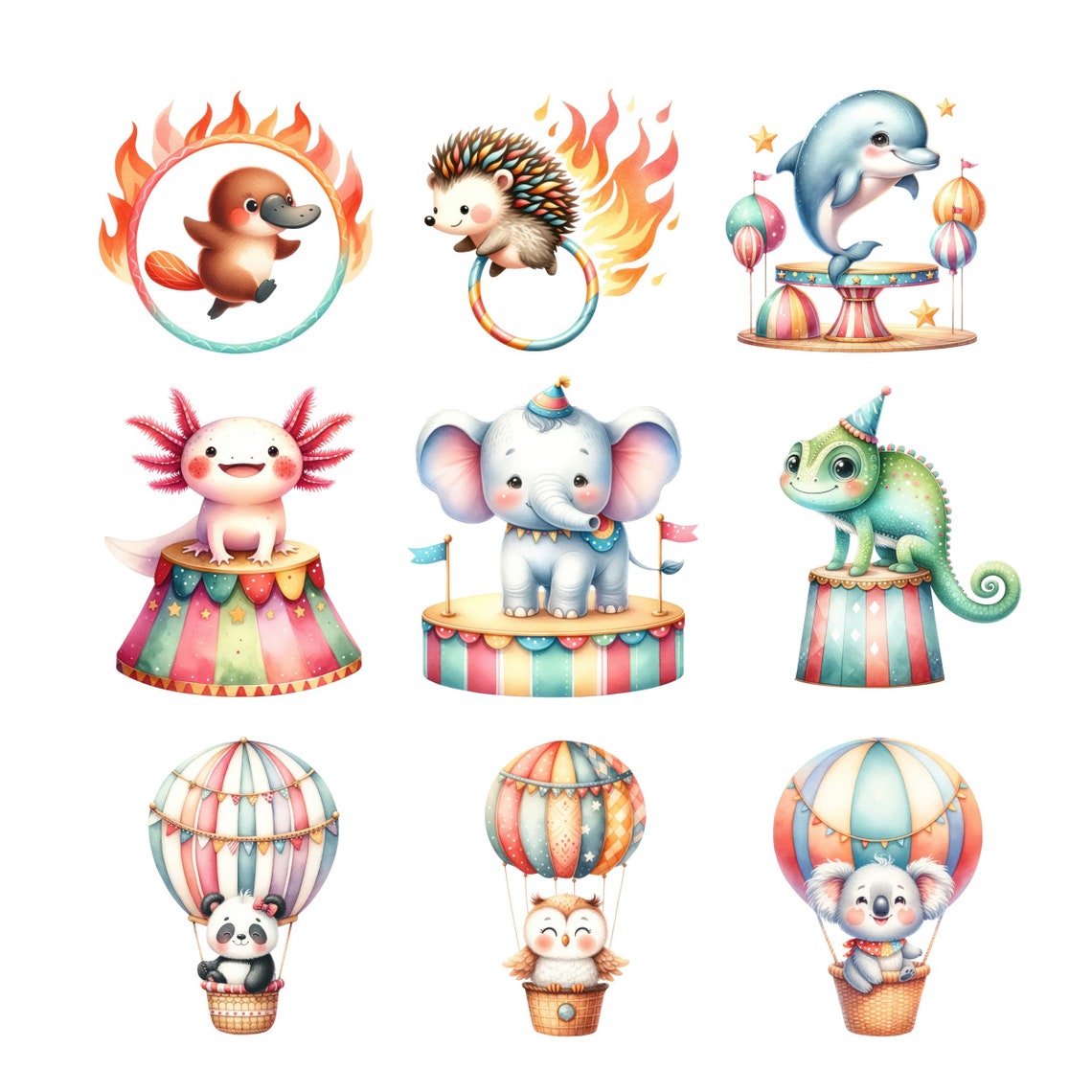 Cute Circus Animals Watercolor Clipart, 60 PNG, Circus Animals, Circus ...