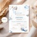 Airplane Birthday Editable Invitation Fly on Over Birthday Boy Blue ...